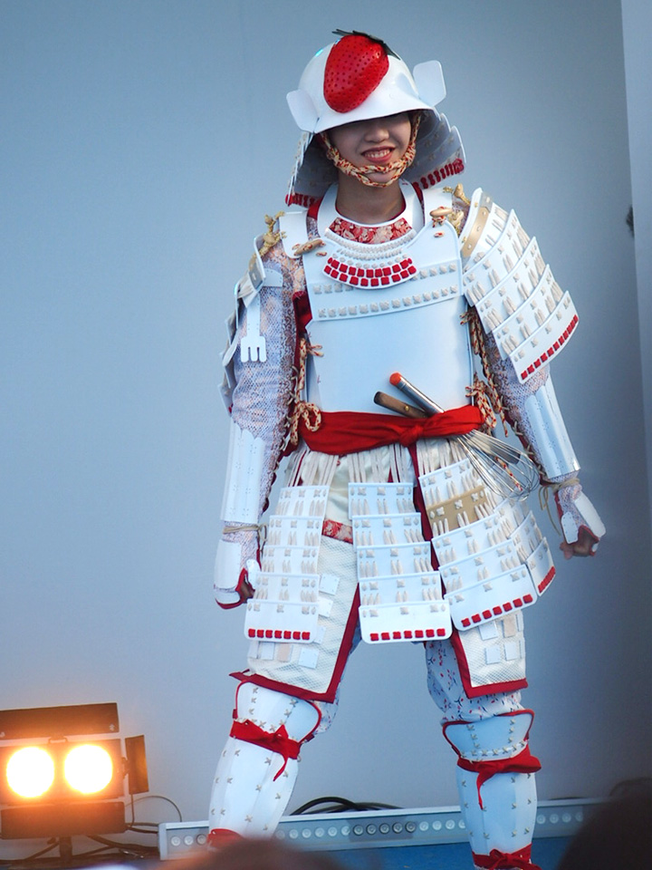 DIY Samurai Armor Kits Hitomi J Style
